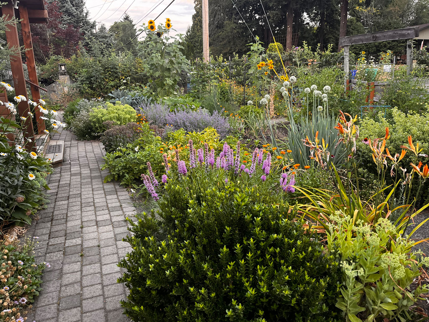 Design - Pride + Joy Landscapes